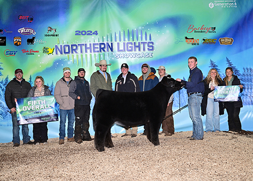 Northern Lights Showdown Results