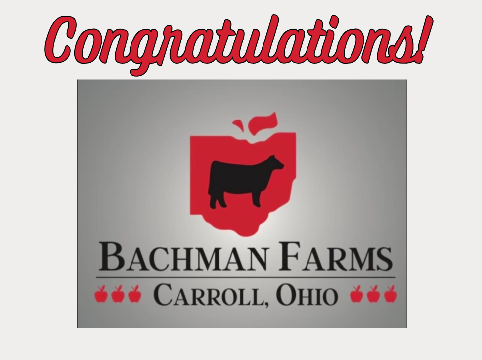 BEST Current Point Standings