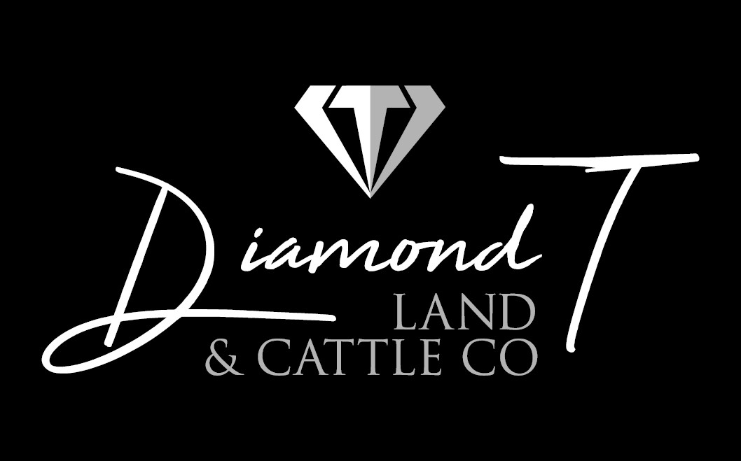 Show Schedules & Results