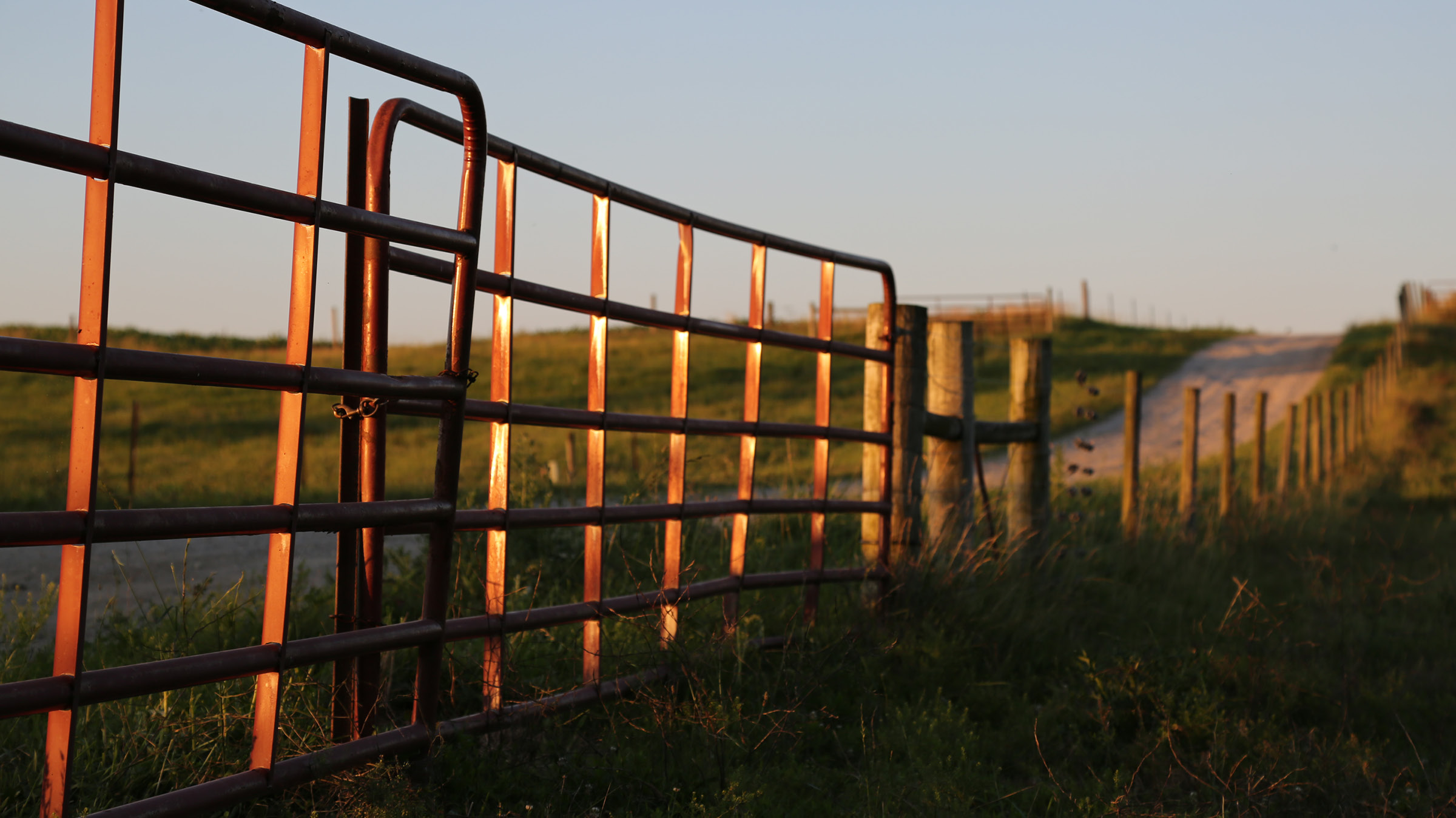 Ohio Cattlemen's Association