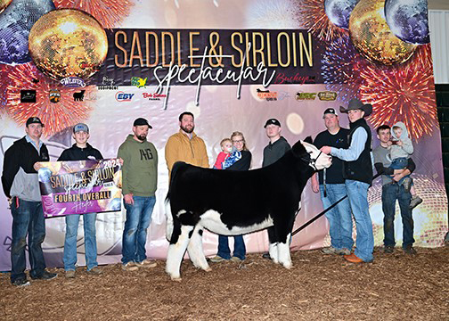 Saddle and Sirloin Spectacular Results