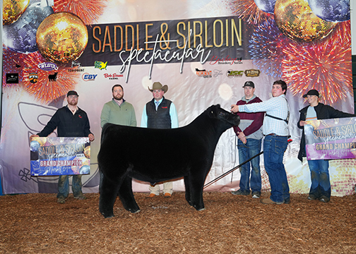 Saddle and Sirloin Spectacular Results